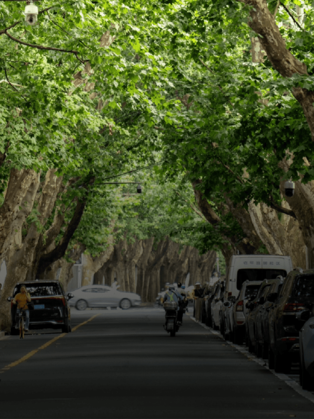 Shanghai French Concession Tour | Eastbound and Beyond